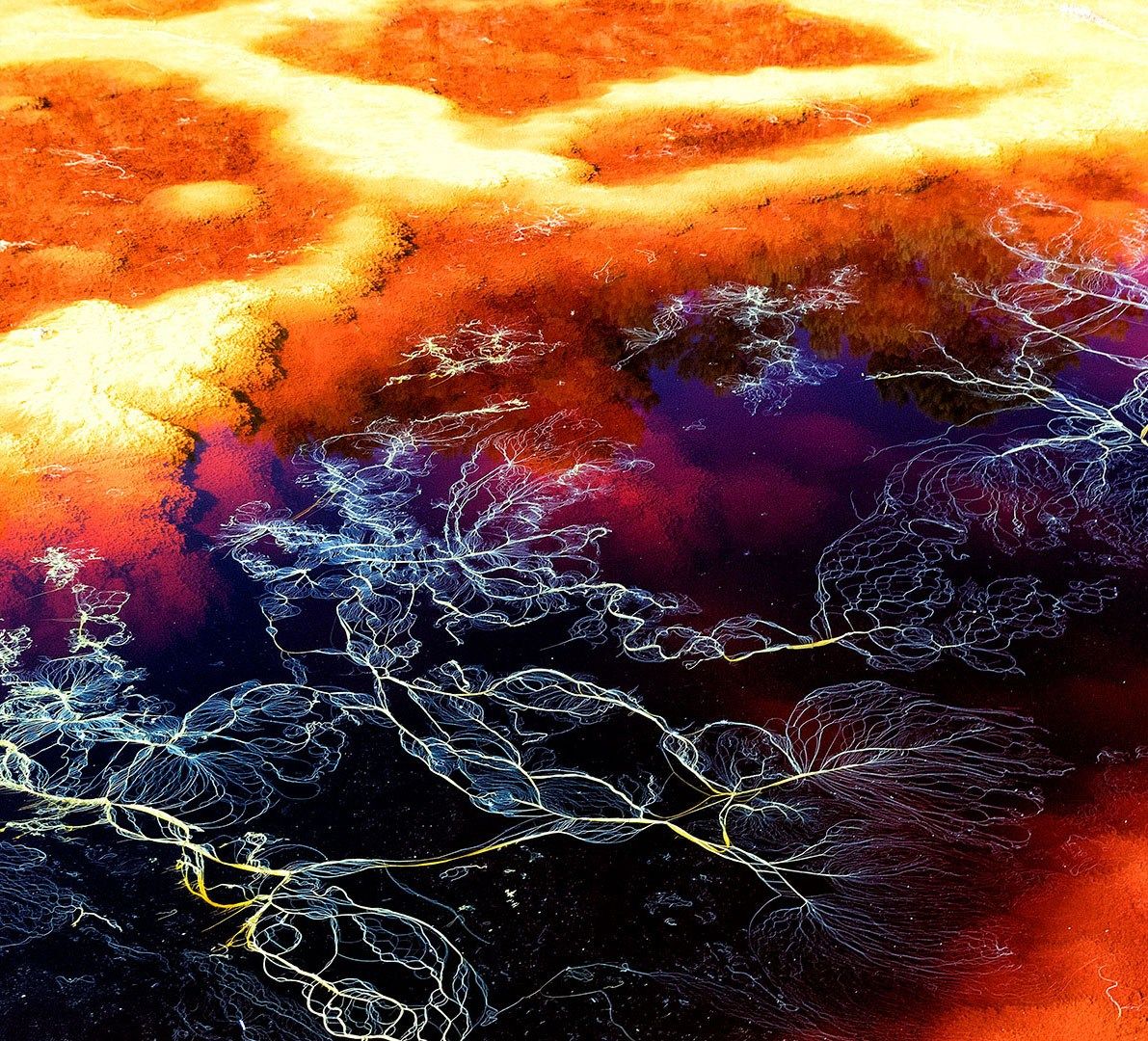 Mars 2 | National Geographic